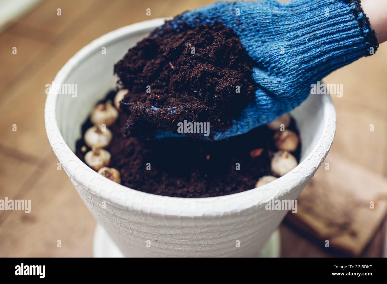 Adding soil to container hi-res stock photography and images - Alamy