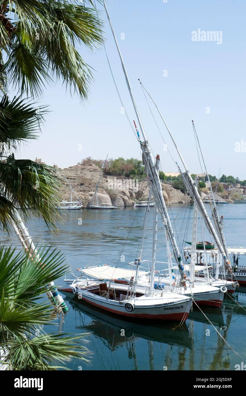 Traditional felucca boats. Aswan, Egypt Stock Photo - Alamy