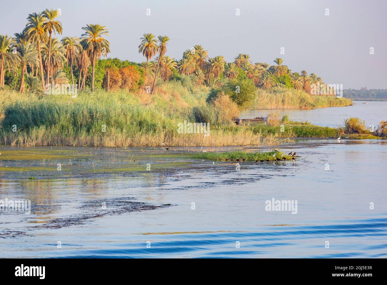 Egypt. Life along the Nile River on a cruise. (Editorial Use Only Stock ...