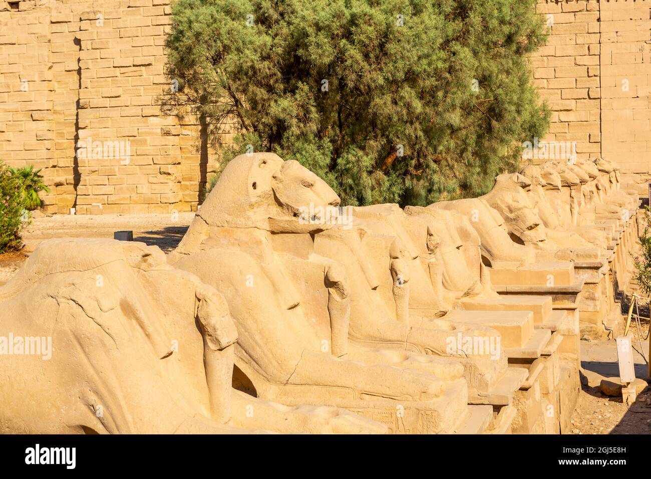 Ancient temples on the river nile hi-res stock photography and images ...