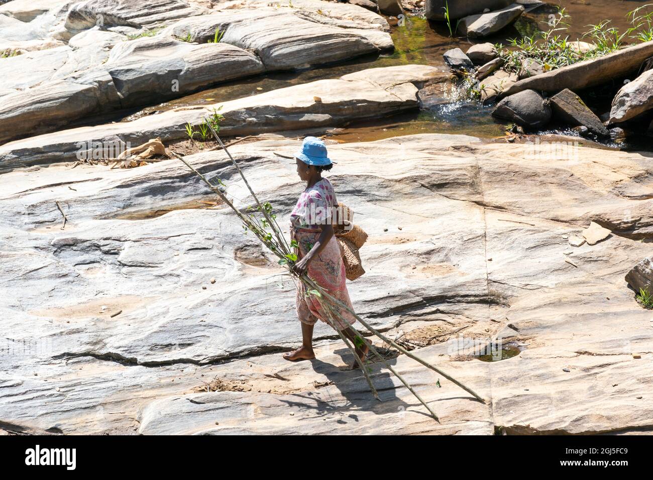 Africa, Madagascar, near Andesite, Alaotra-Mangoro Region. A woman puts ...