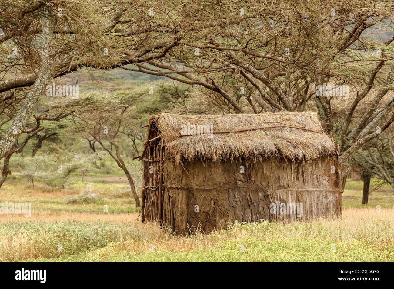 Primitive structure, Masai village, Ngorongoro Conservation Area ...