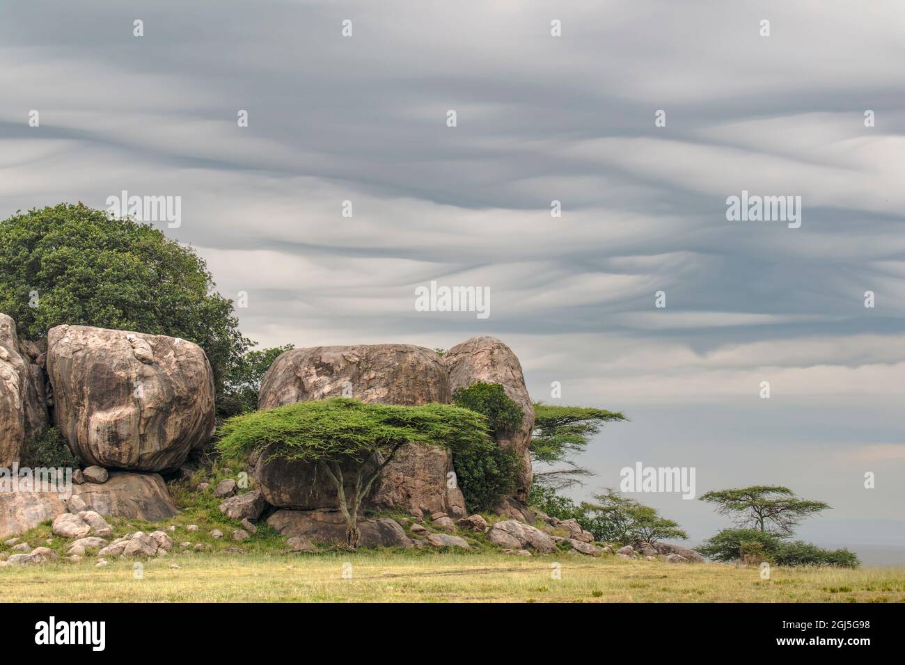 Serengeti national park kopje hi-res stock photography and images - Alamy