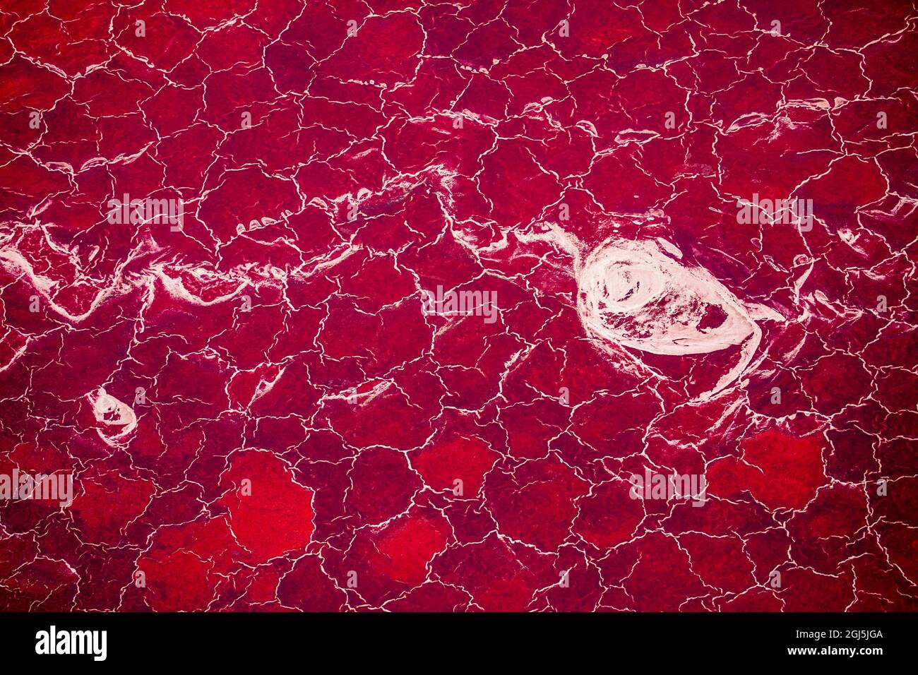 Africa, Tanzania, Aerial view of patterns of red algae and salt ...