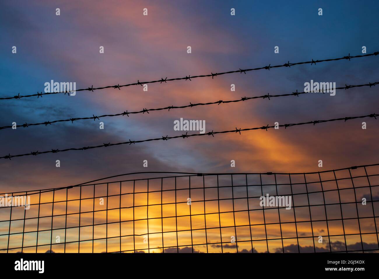 Barbed wire against a dramatic sunset sky Stock Photo - Alamy