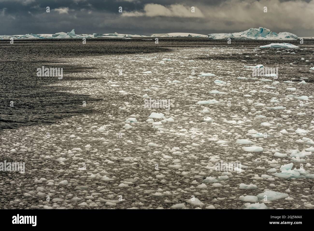 Antarctic, sea, ice, Drake Passage Stock Photo - Alamy