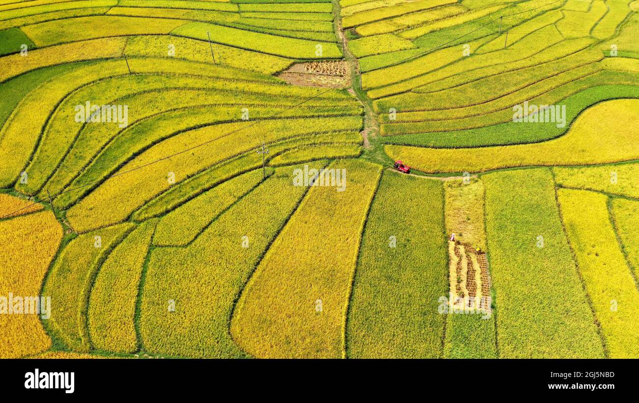 Anlong, Anlong, China. 9th Sep, 2021. Aerial photography of harvest ...