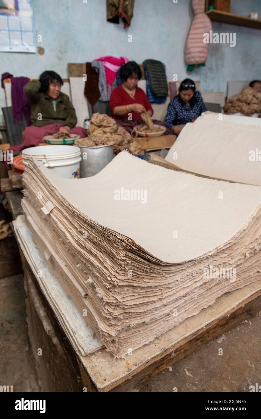 Bhutan, Thimphu, Jungshi handmade paper. Factory. Factory workers ...