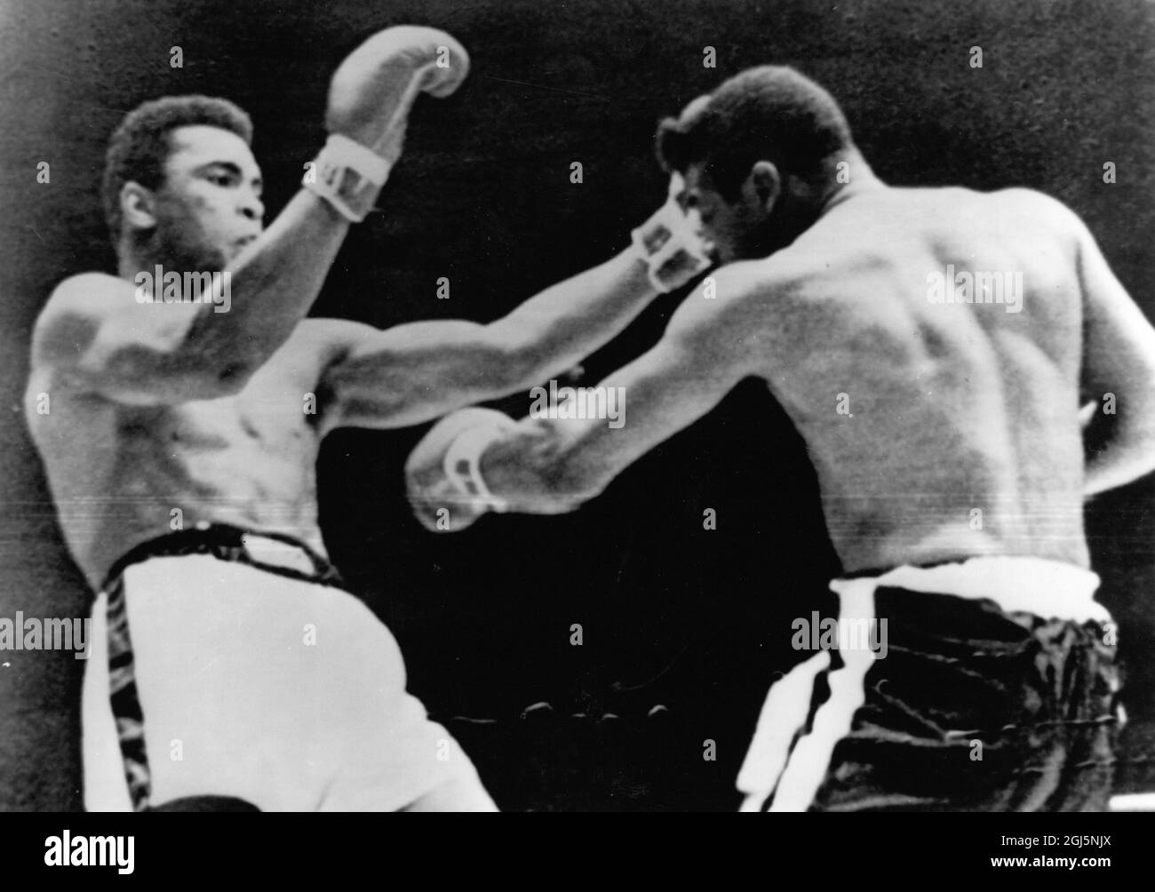 Muhammad Ali American boxer in the boxing ring with Floyd Patterson ...