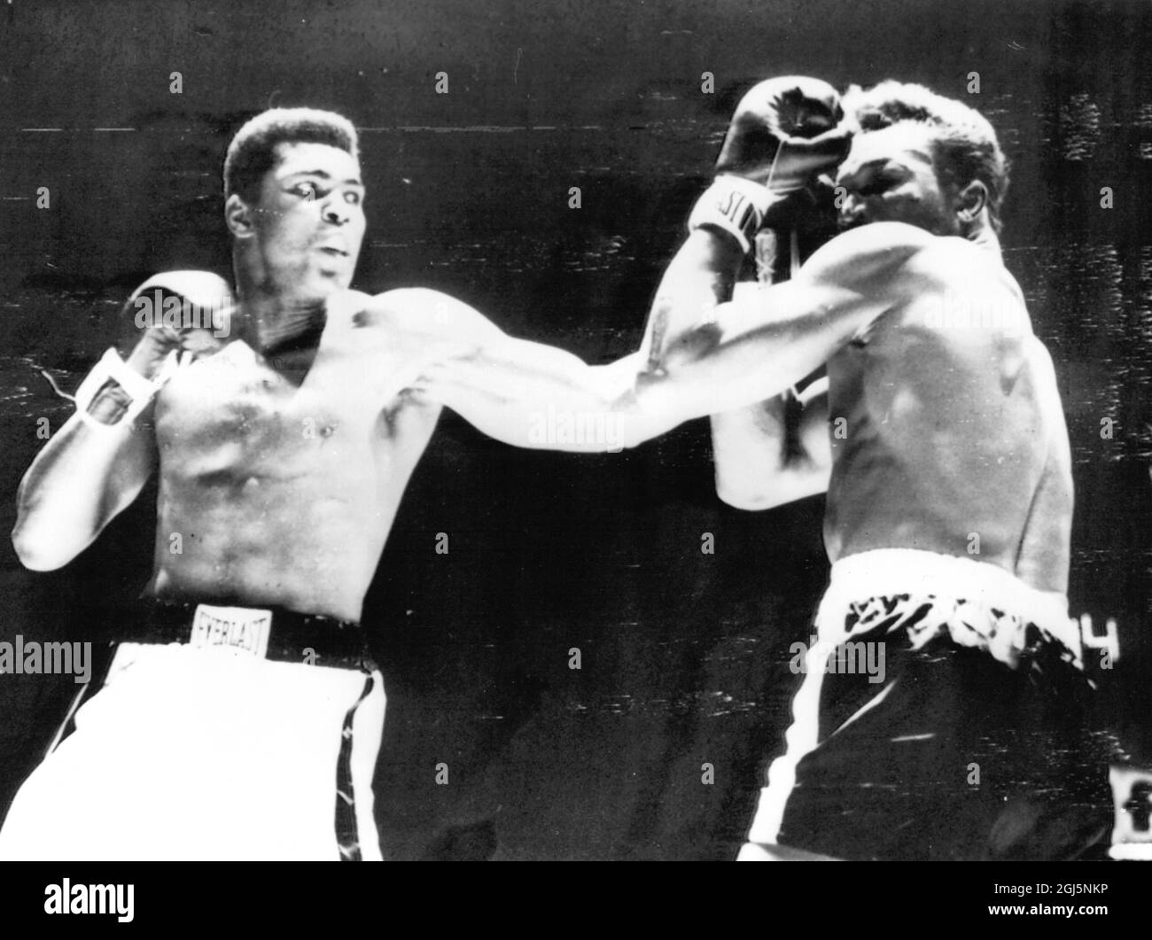 (Muhammad Ali) Cassius Clay in tthe boxing ring with Cleveland Williams ...