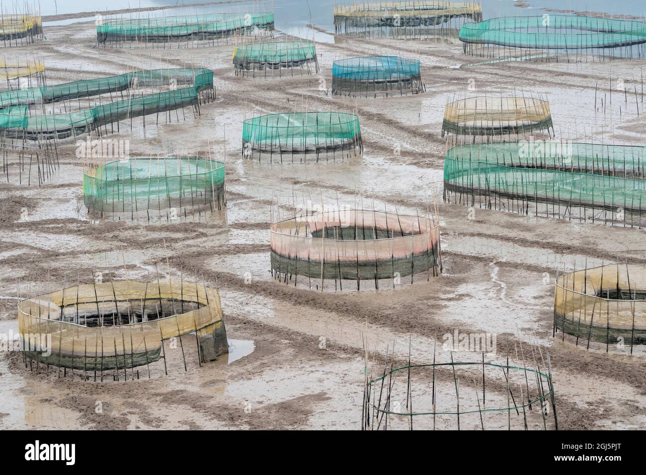 Tidal pol hi-res stock photography and images - Alamy