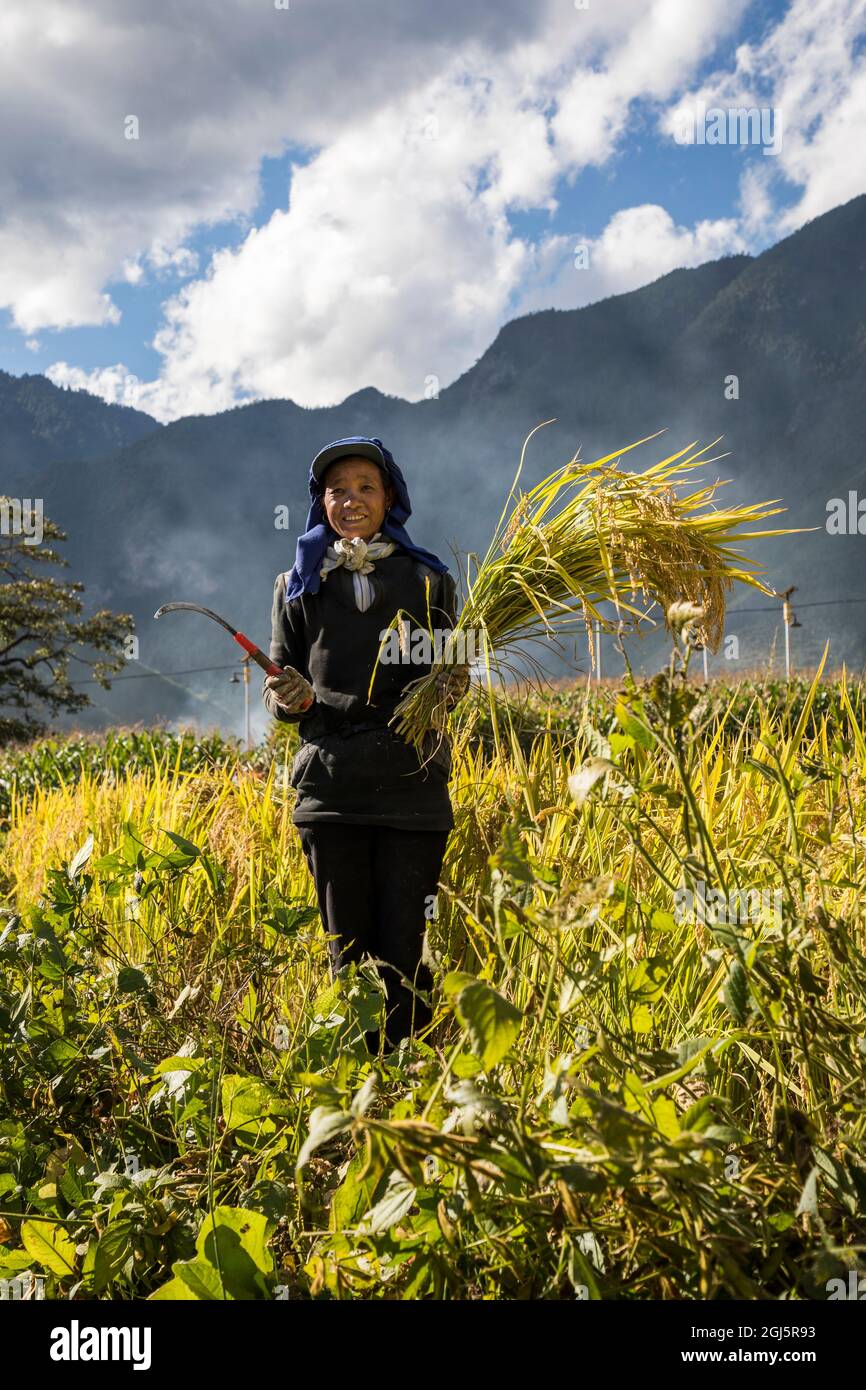 Asia, China, Tacheng, A Farmer Working in the Field (Editorial Use Only ...
