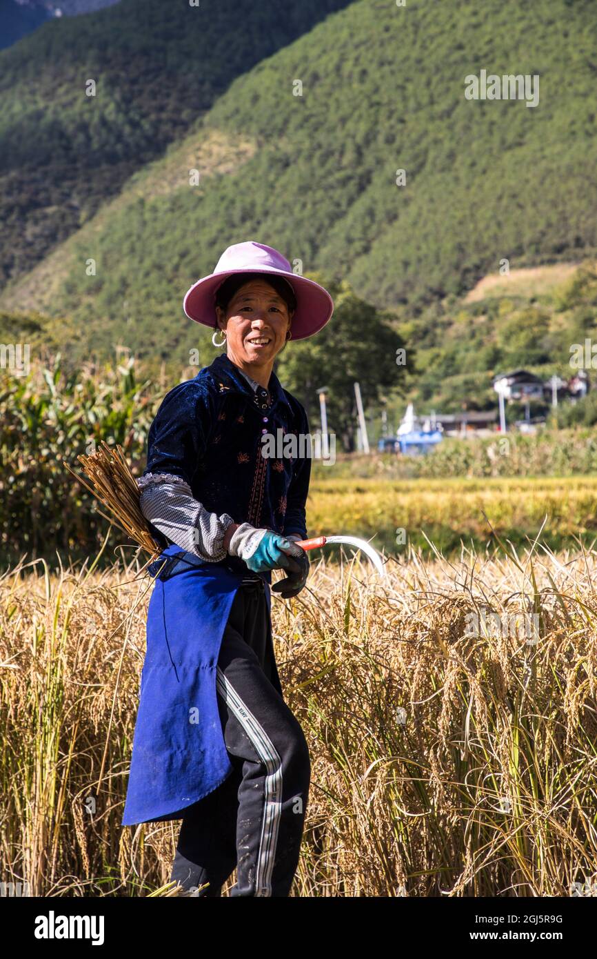 Asia, China, Tacheng, A Farmer Working in the Field (Editorial Use Only ...