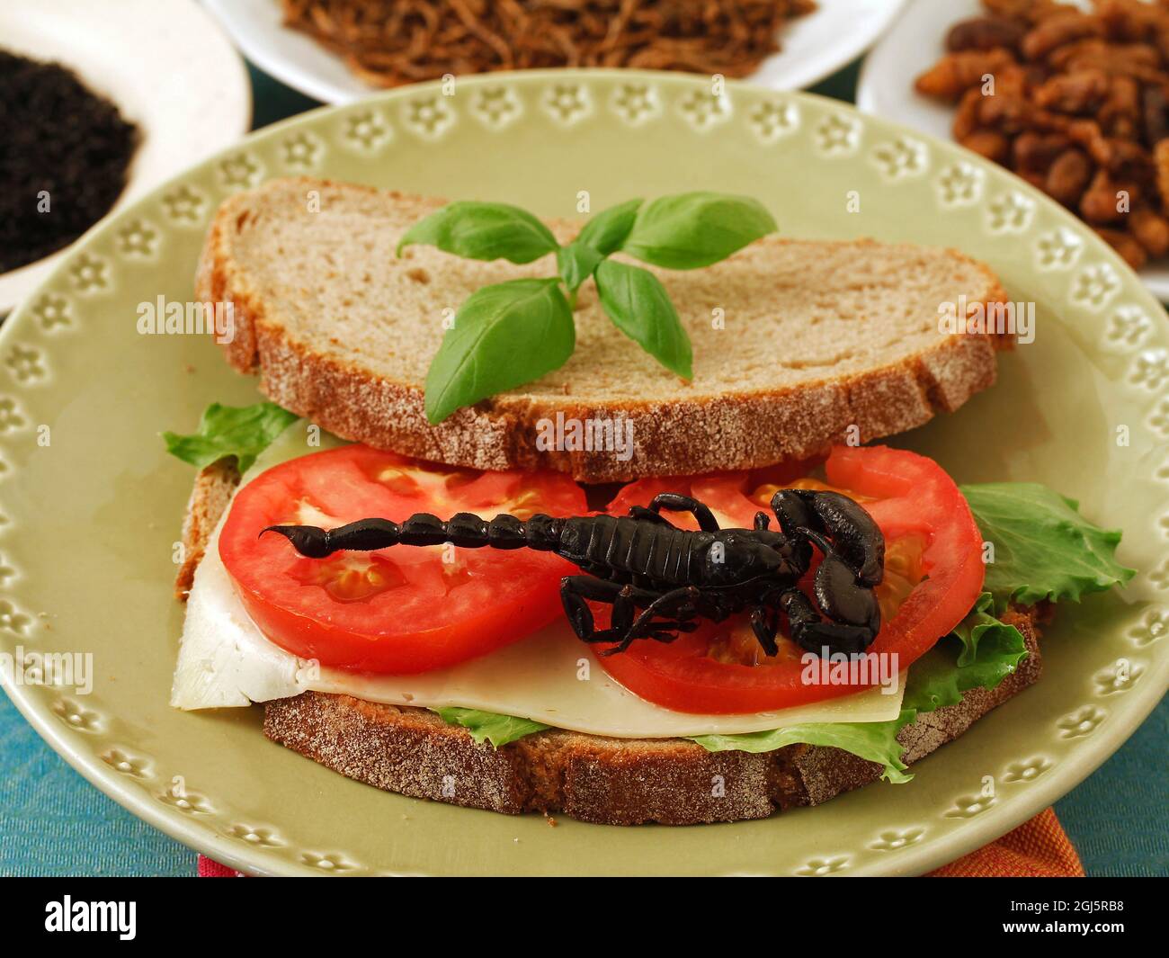 Edible arachnid and insects. Scorpion, mealworms and ants Stock Photo ...
