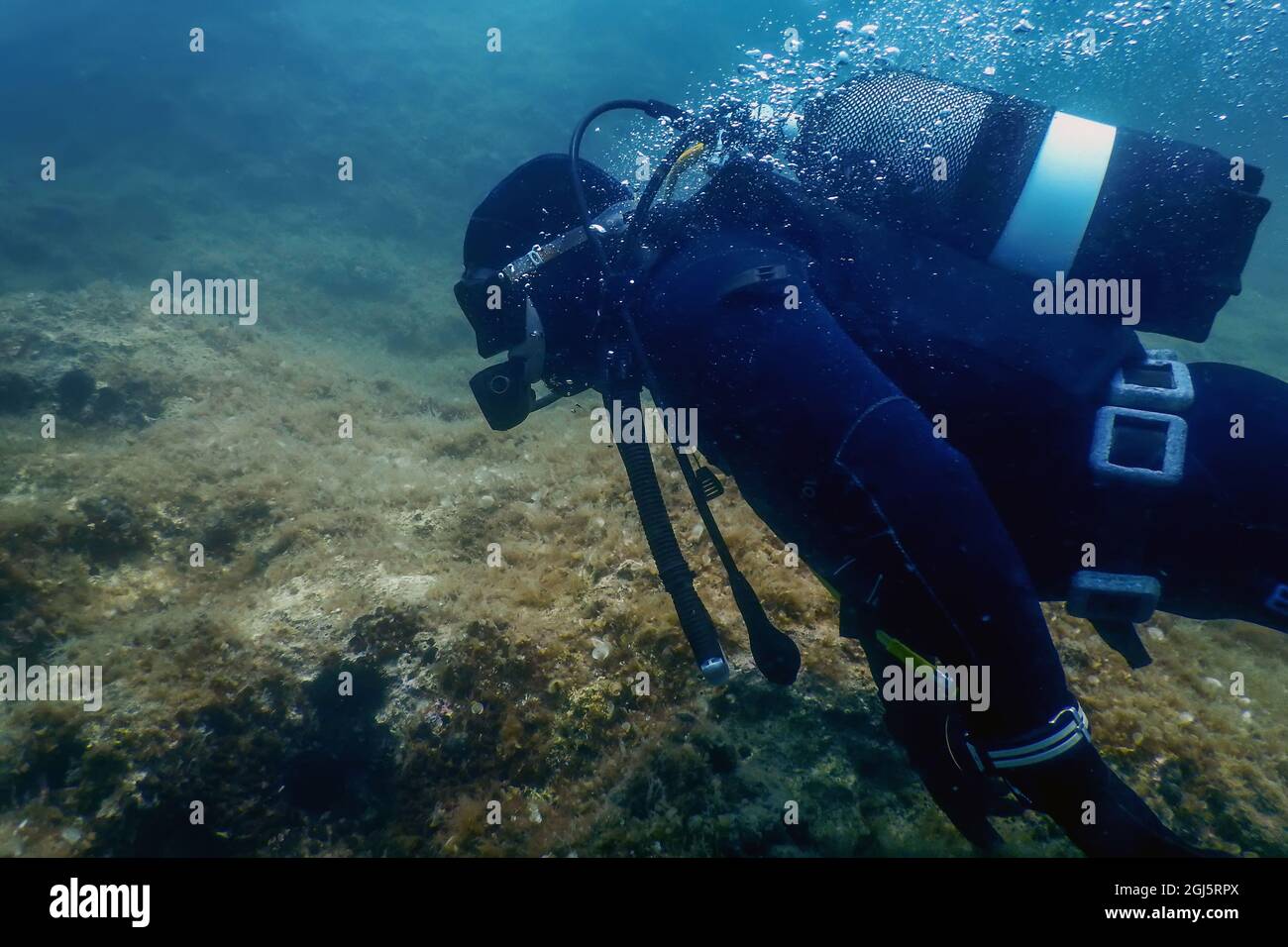 Scuba Diver Swimming Underwater Explores Reef and Examines Seabed Stock ...