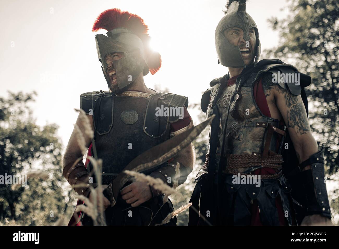 Ancient spartan warriors hi-res stock photography and images - Alamy