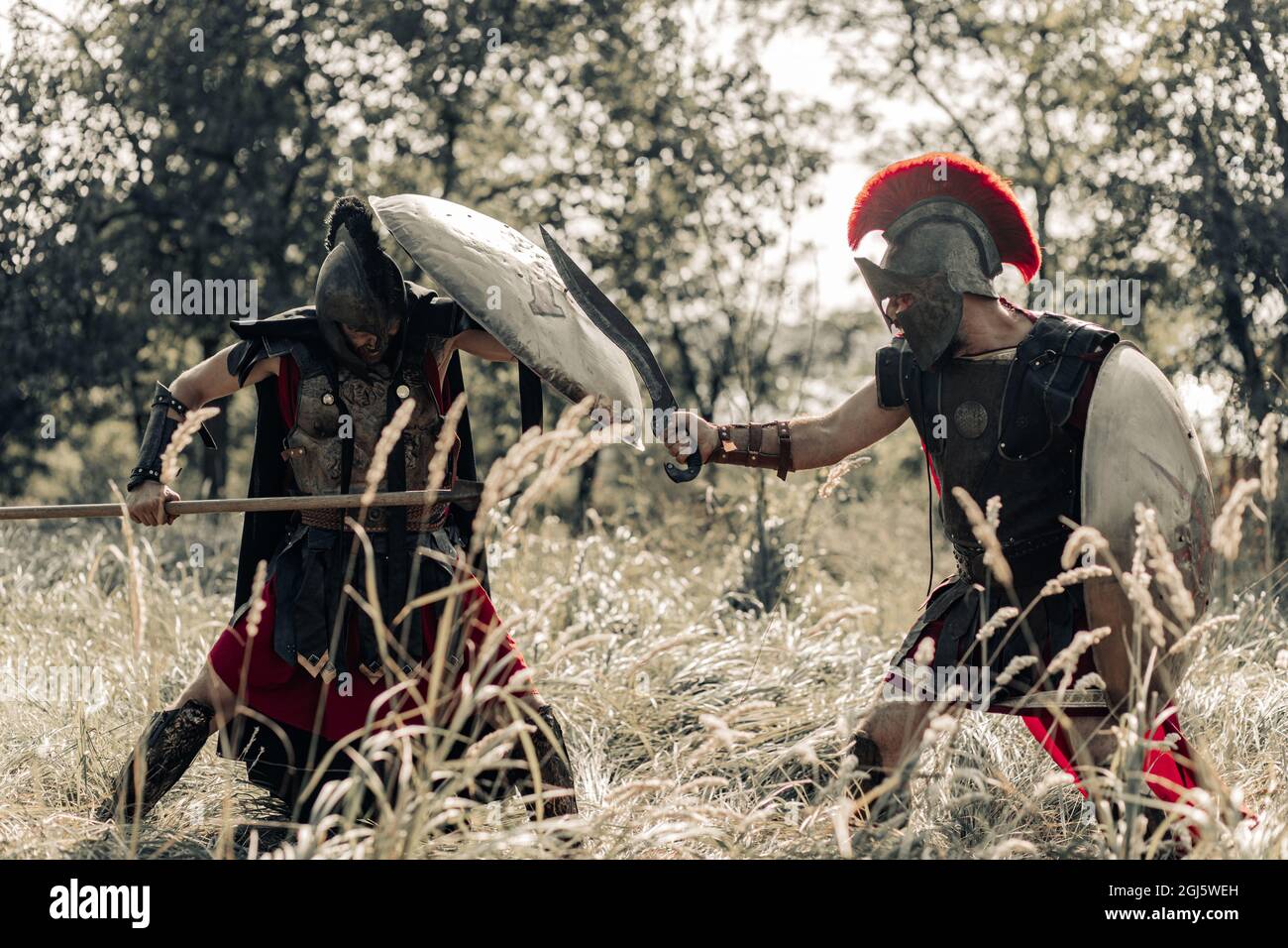 Two ancient greek warriors hi-res stock photography and images - Alamy