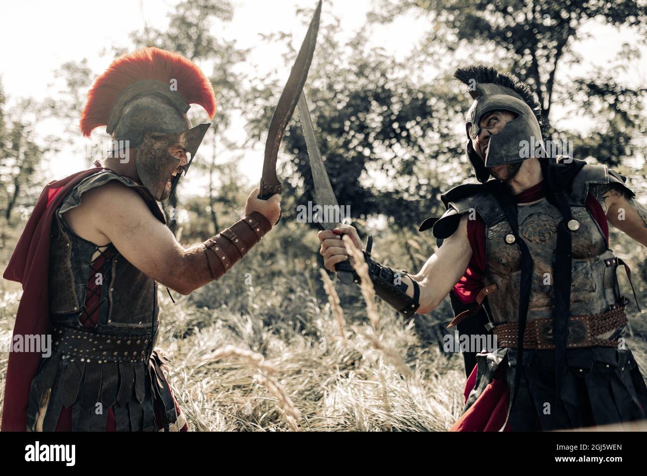 Ancient Roman Warrior Battle