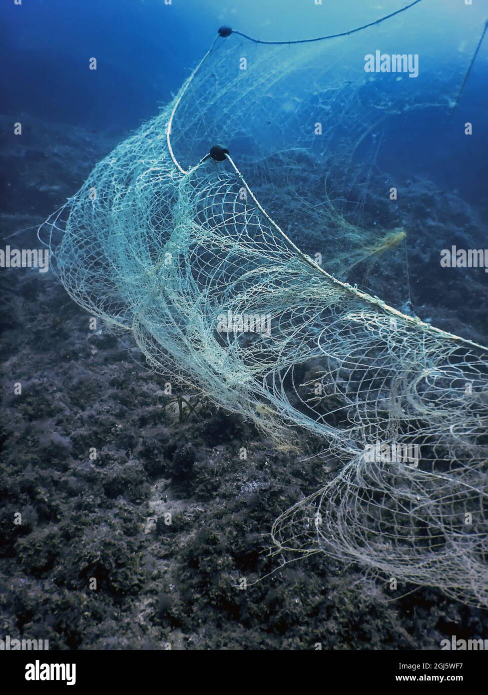 Underwater coral monitoring hi-res stock photography and images - Alamy