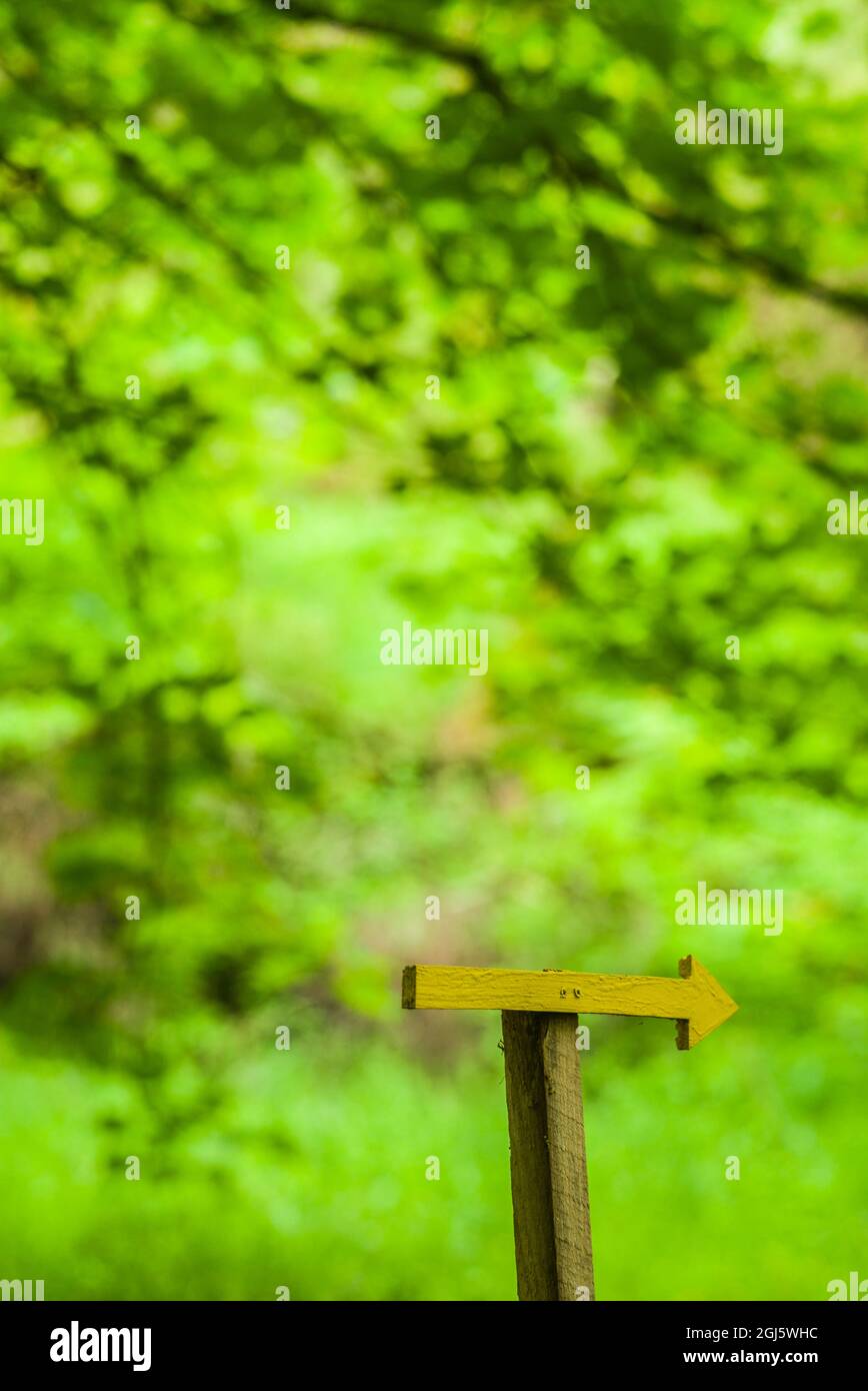 Georgia, Borjomi-Likani. Famous mineral water resort, directional arrow ...