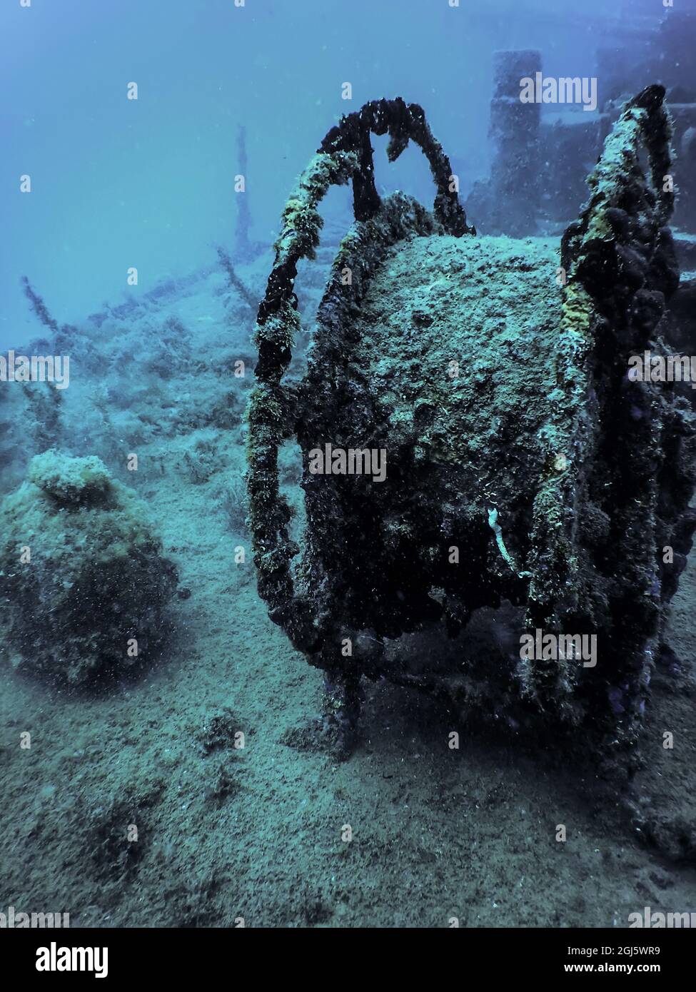 Wildlife at the ship wreck, Underwater world wildlife Stock Photo - Alamy