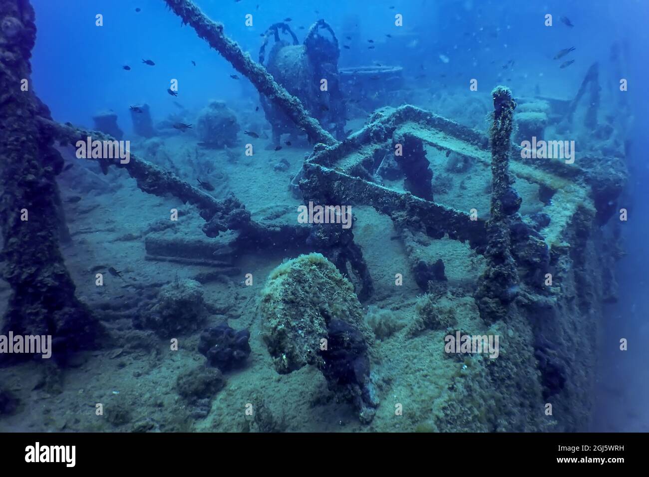 Wildlife at the ship wreck, Underwater world wildlife Stock Photo - Alamy