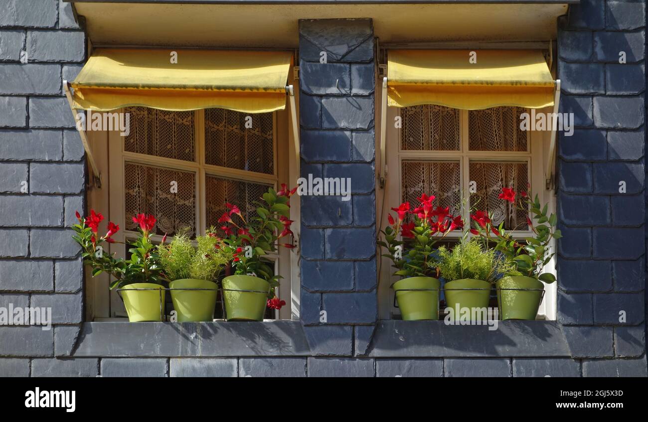 stone wall windows with yellow awning and colored flower pots, Honfleur ...