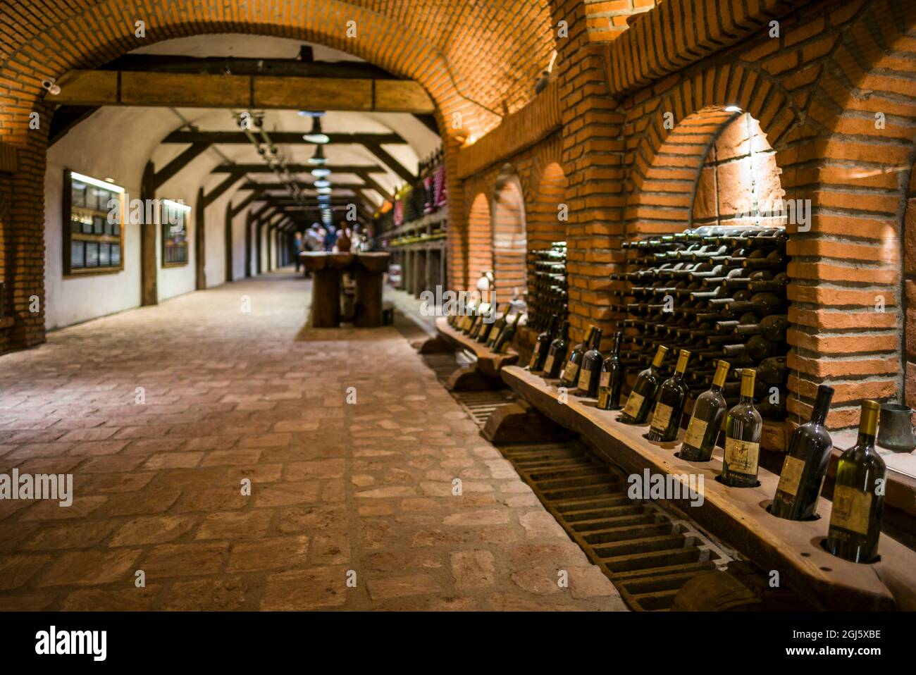 Georgia, Kakheti, Kvareli. Winery Khareba, 7.7 kilometers of wine ...
