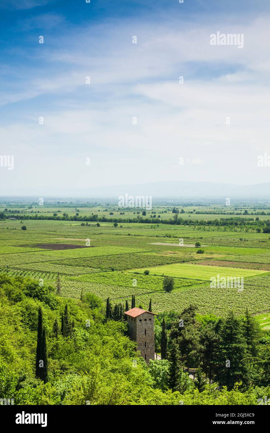 Georgia, Kakheti, Kvareli. Winery Khareba, vineyards and winery tower ...