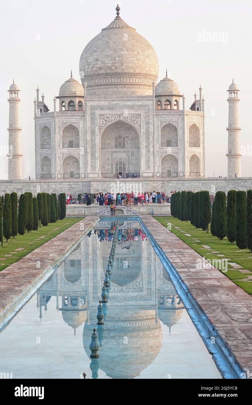 India, Uttar Pradesh, Agra. The Taj Mahal is reflected in the pool of ...