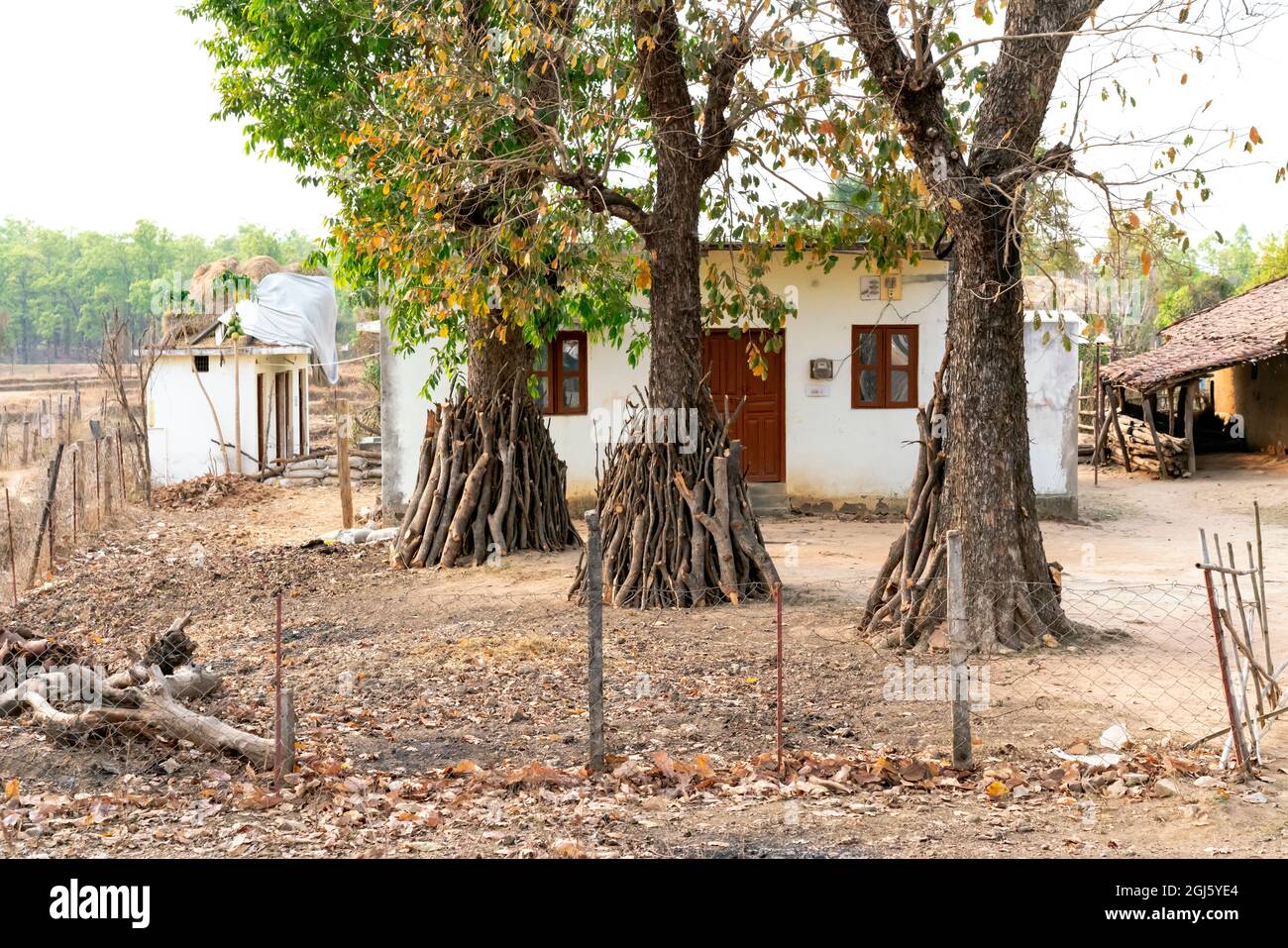 India, Madhya Pradesh. Typical house in the countryside with wood ...
