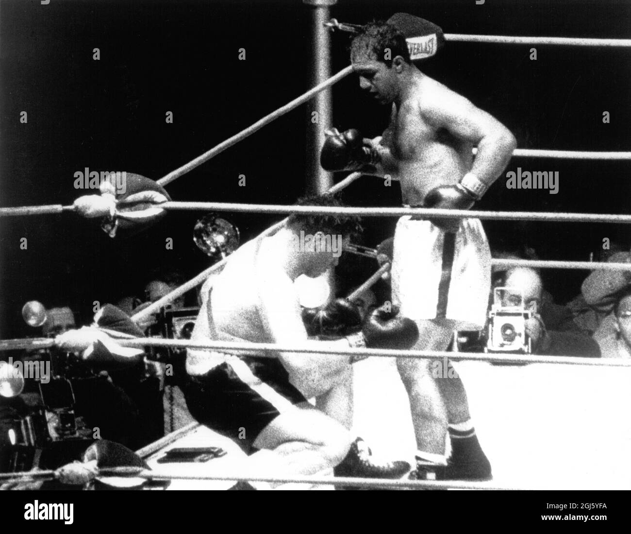 Cockell hi-res stock photography and images - Alamy