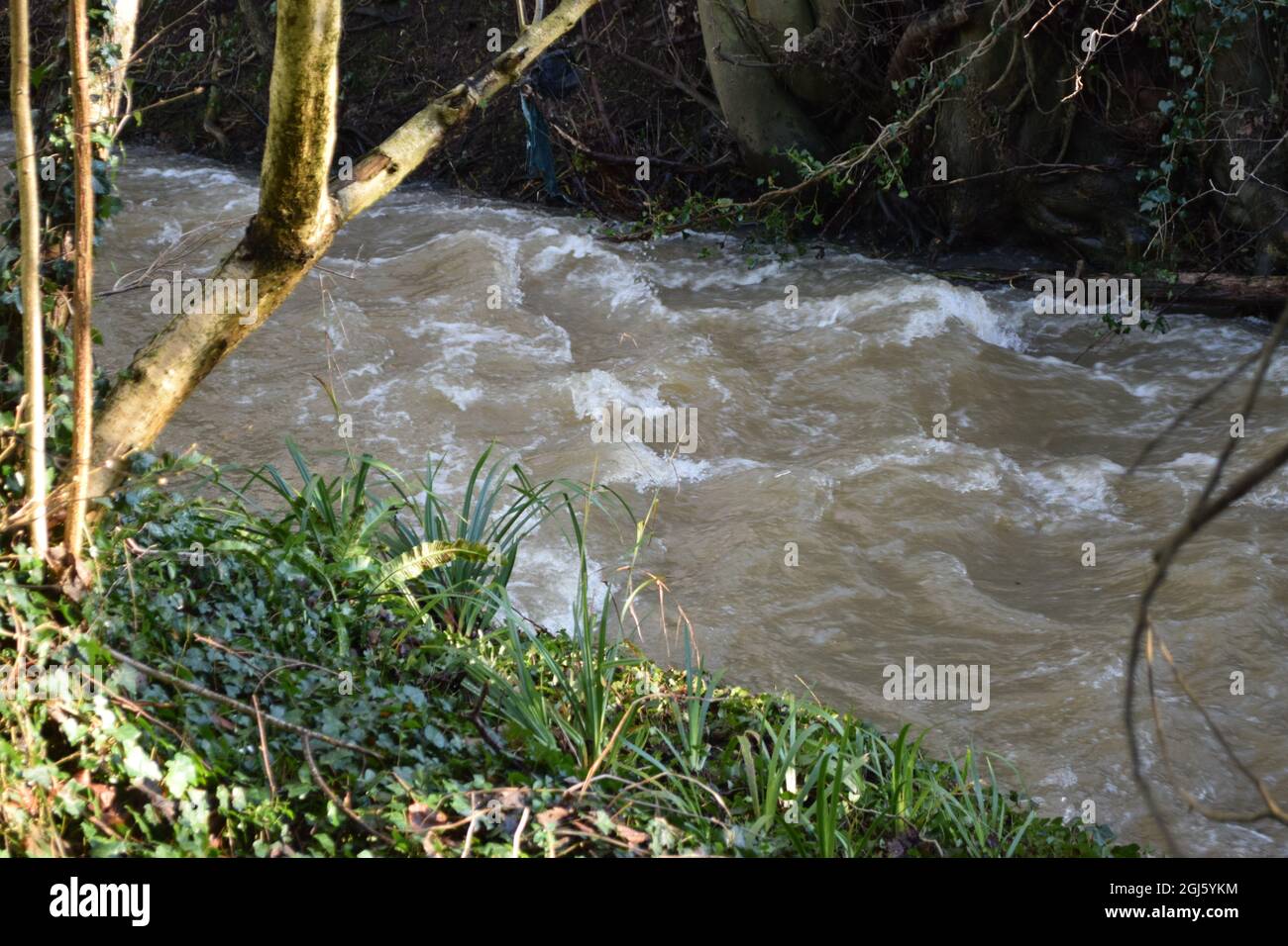 Rea brook hi-res stock photography and images - Alamy