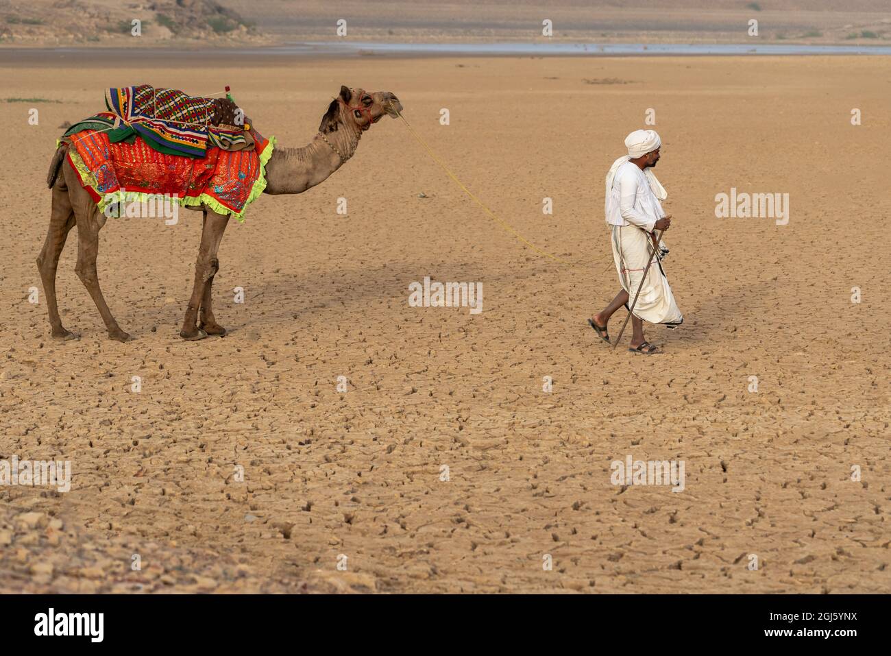 India, Gujarat, Bhuj, Great Rann of Kutch, Tribe. An older man from the ...