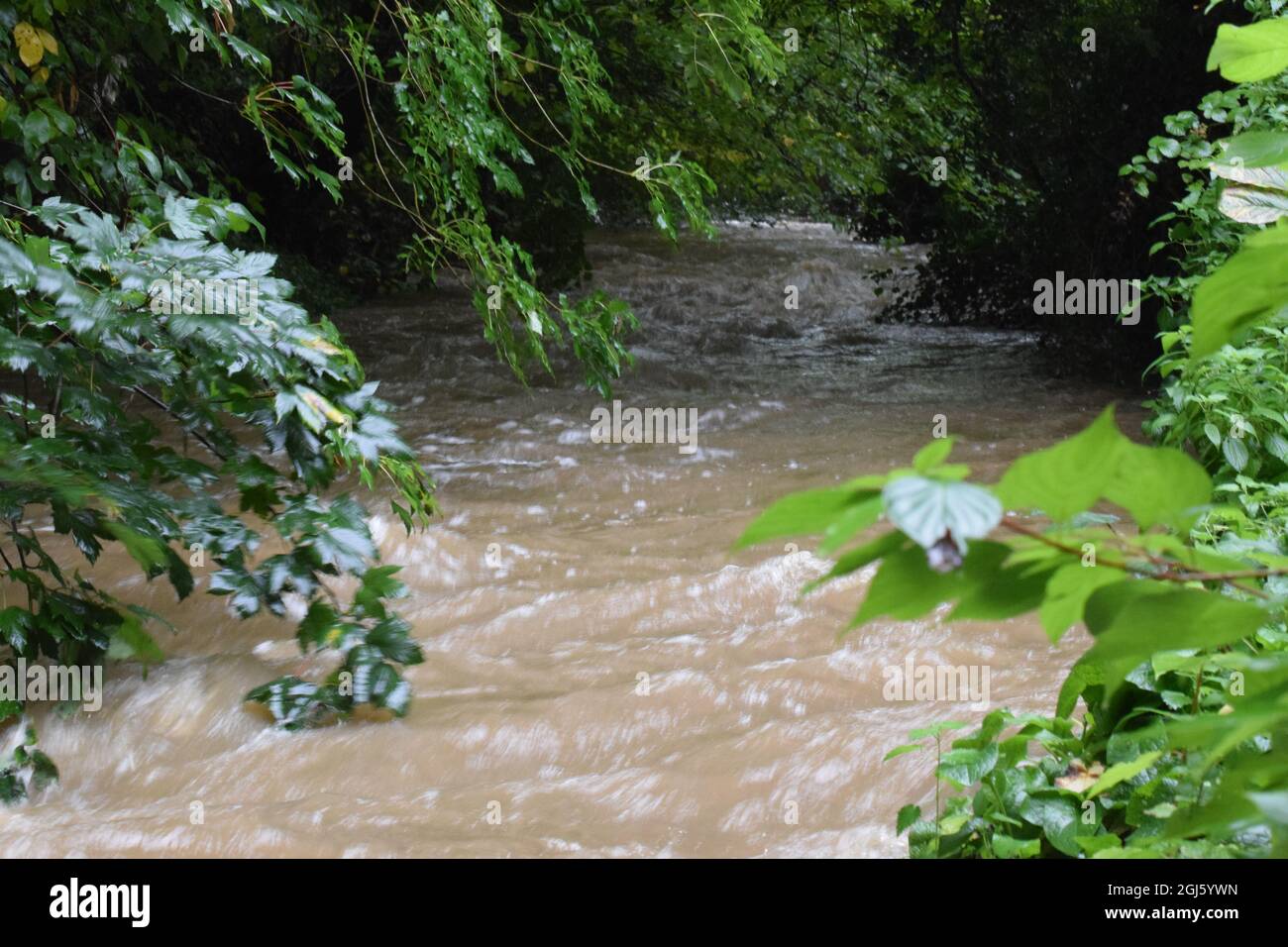 Rea brook hi-res stock photography and images - Alamy