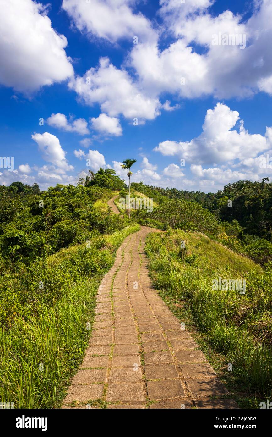 The Campuhan Ridge Walk, Ubud, Bali, Indonesia Stock Photo - Alamy