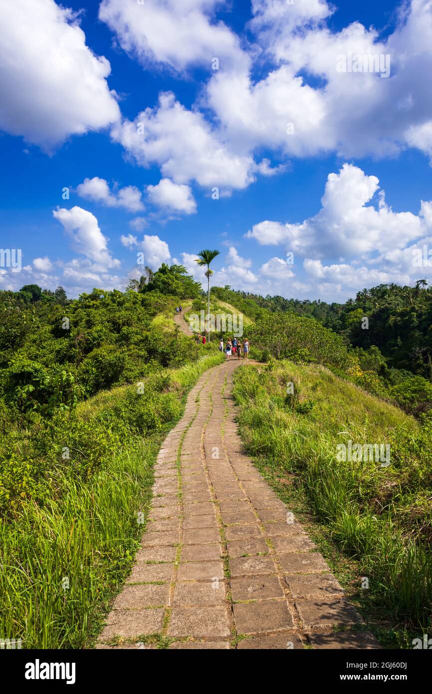 The Campuhan Ridge Walk, Ubud, Bali, Indonesia Stock Photo - Alamy