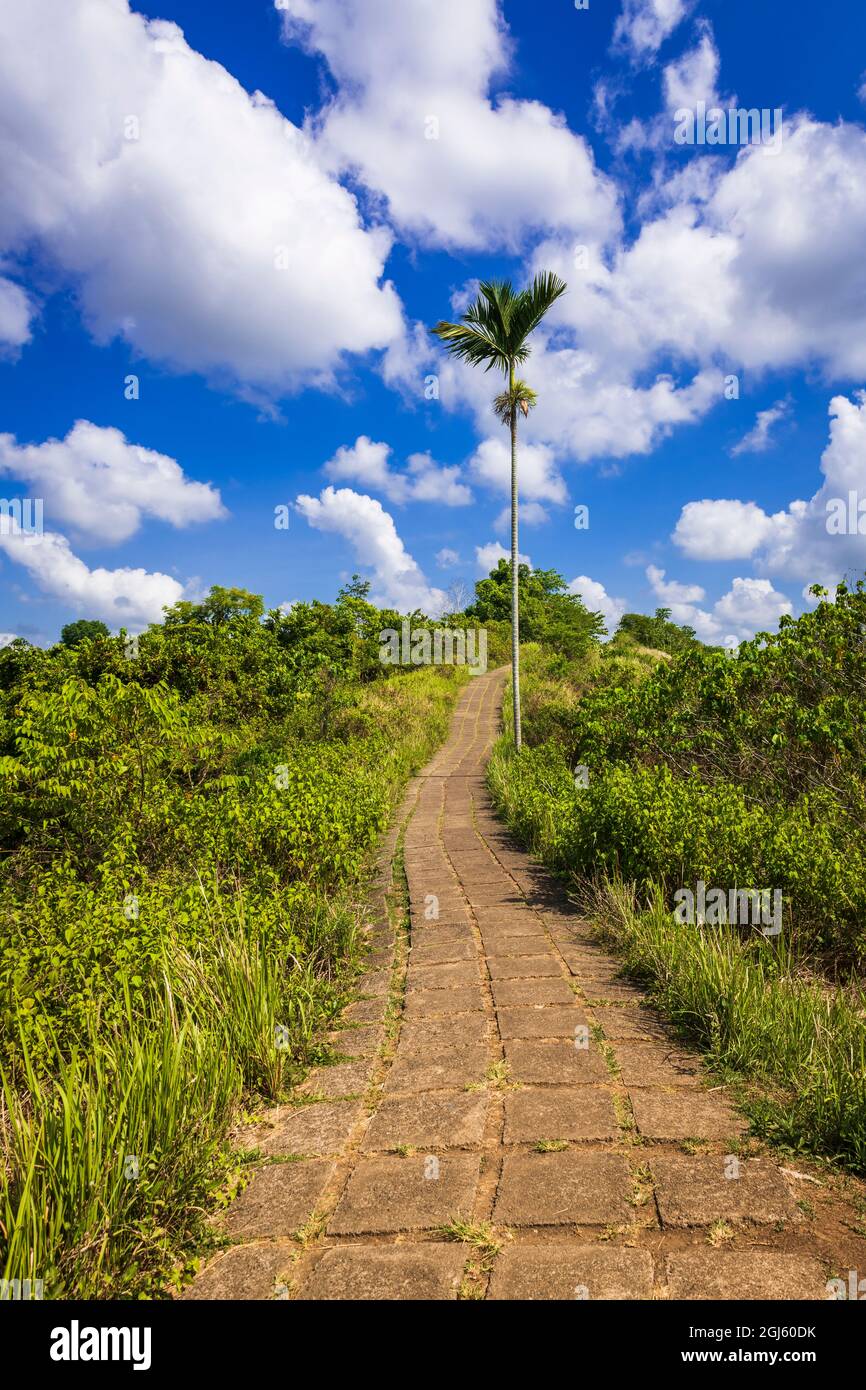 The Campuhan Ridge Walk, Ubud, Bali, Indonesia Stock Photo - Alamy