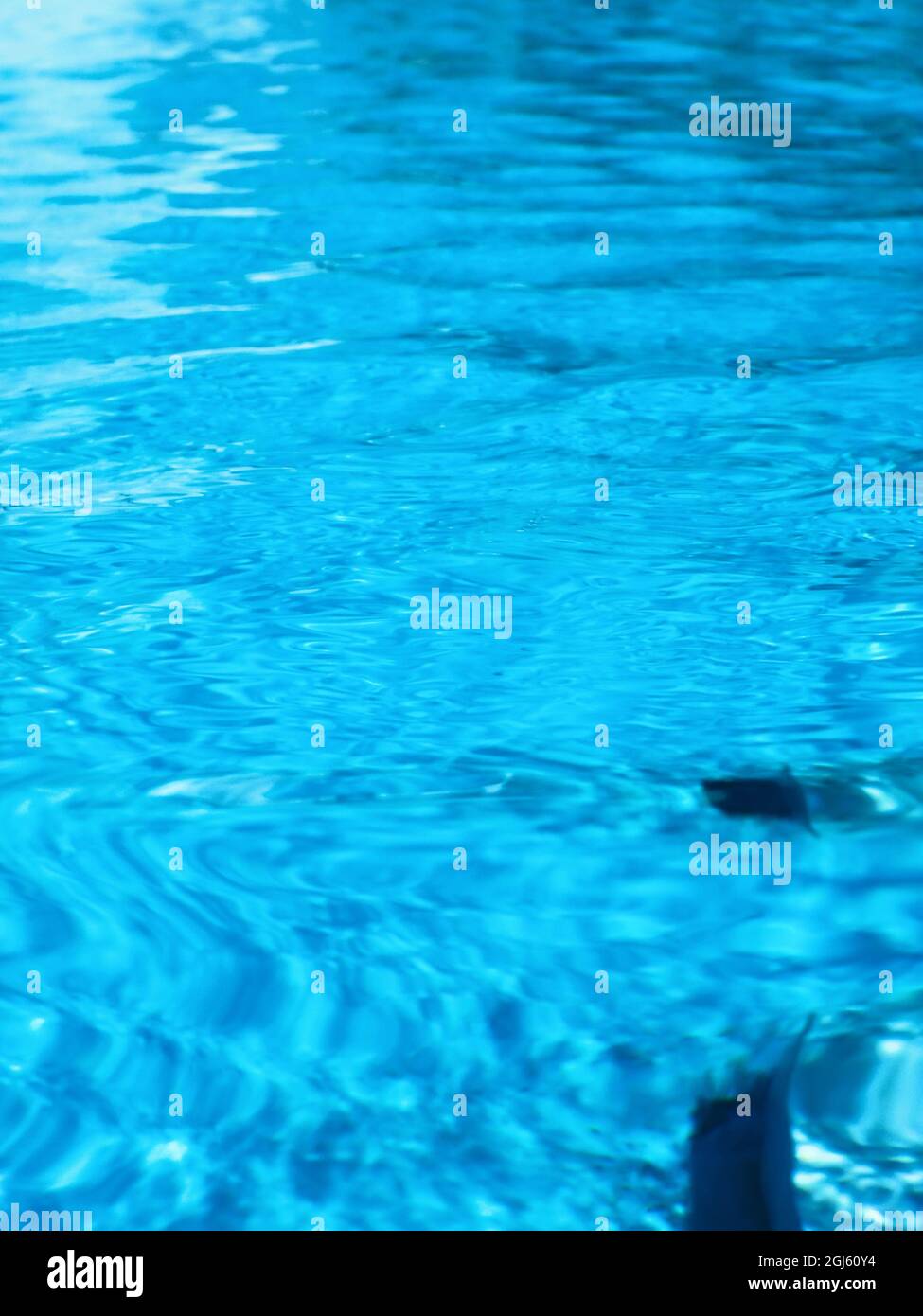 Blue Ripple Water Background, Water Surface Blue Swimming Pool Stock ...