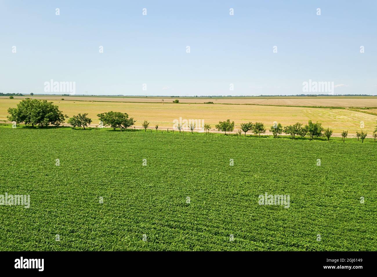 Soybean aerial hi-res stock photography and images - Alamy