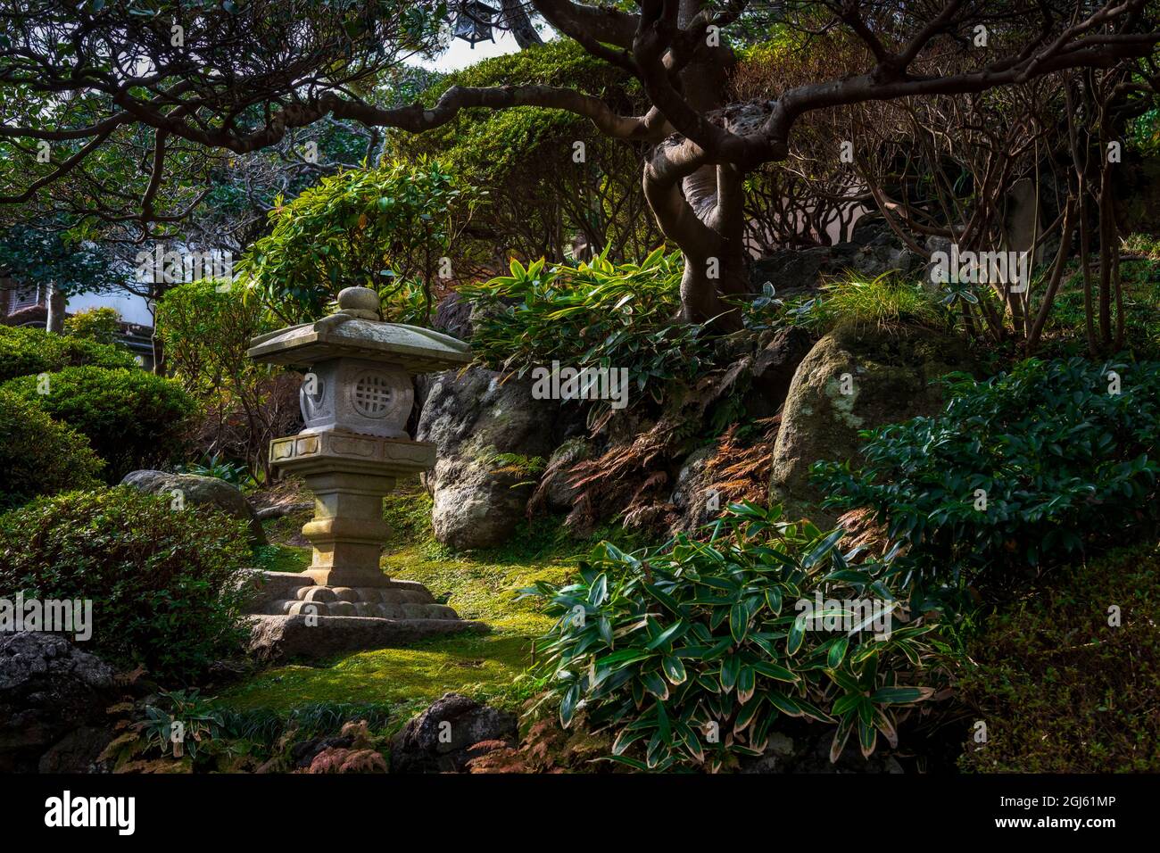 Pagoda and tree hi-res stock photography and images - Alamy
