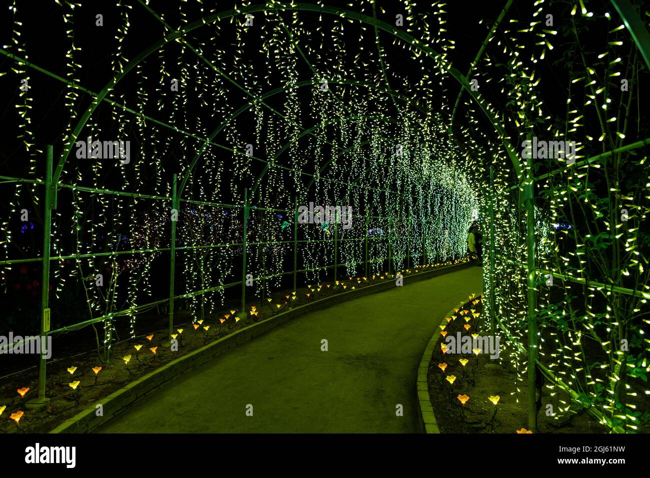 A tunnel of lights lined with illuminated flowers Stock Photo - Alamy