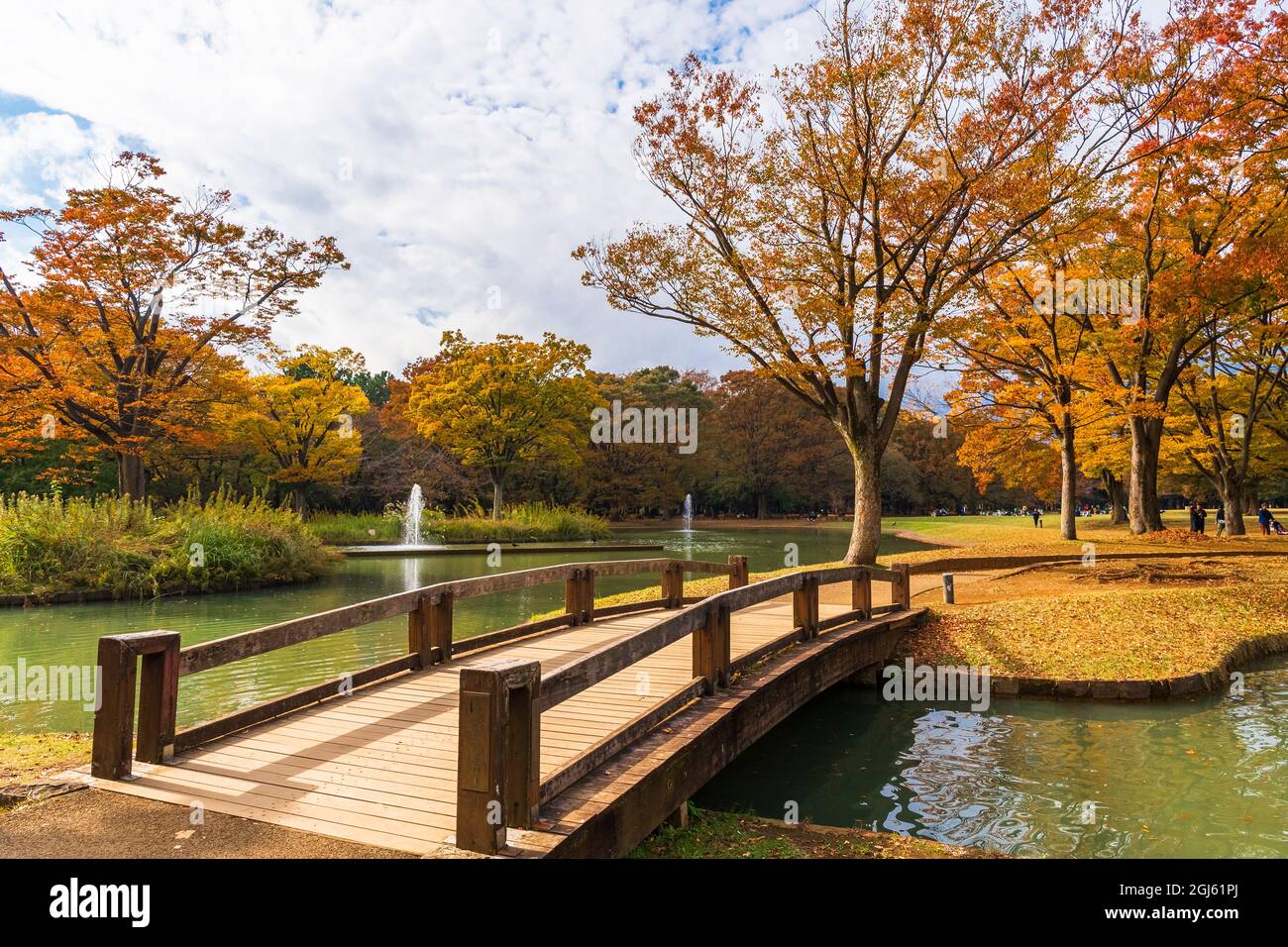 Bridge over water in picturesque Yoyogi Park, Shibuya, Tokyo, Japan ...