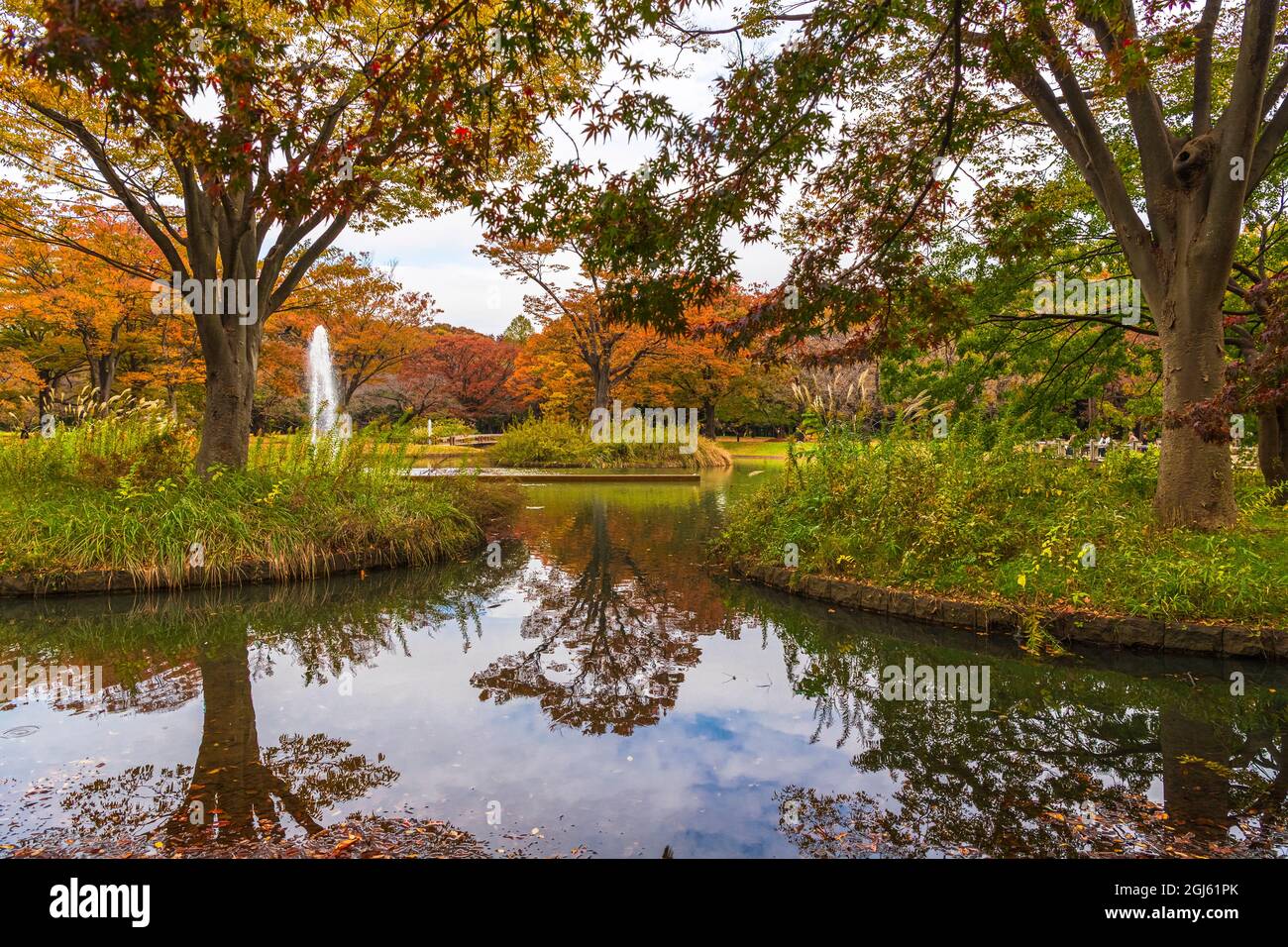 Tokyo fall colors hi-res stock photography and images - Alamy