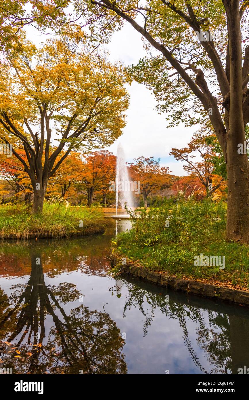 Tokyo fall colors hi-res stock photography and images - Alamy