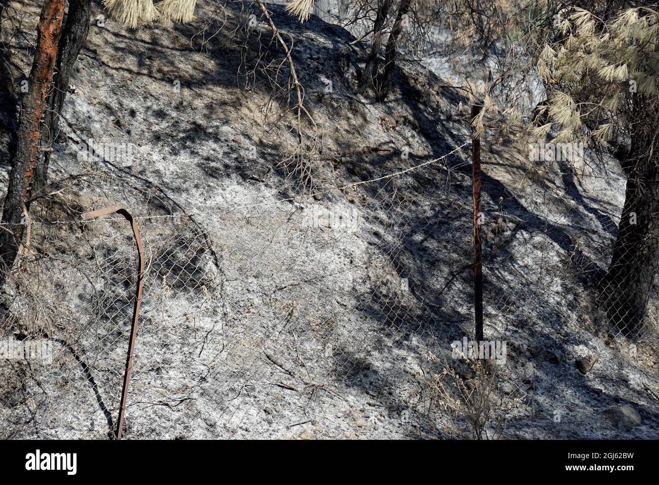 scorched landscape on rhodes island in greece after forest fire Stock ...