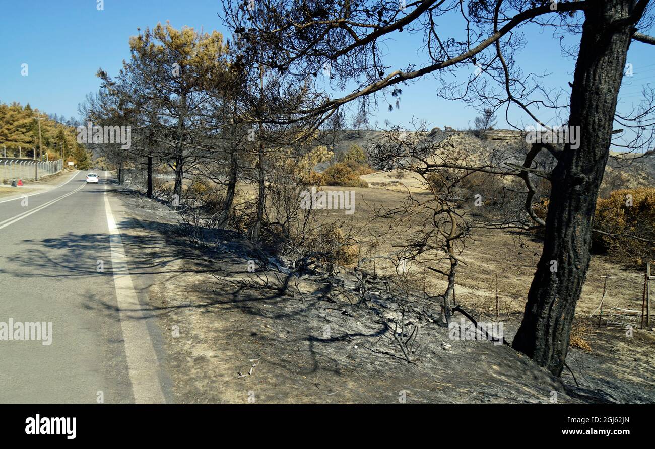 scorched landscape on rhodes island in greece after forest fire Stock ...