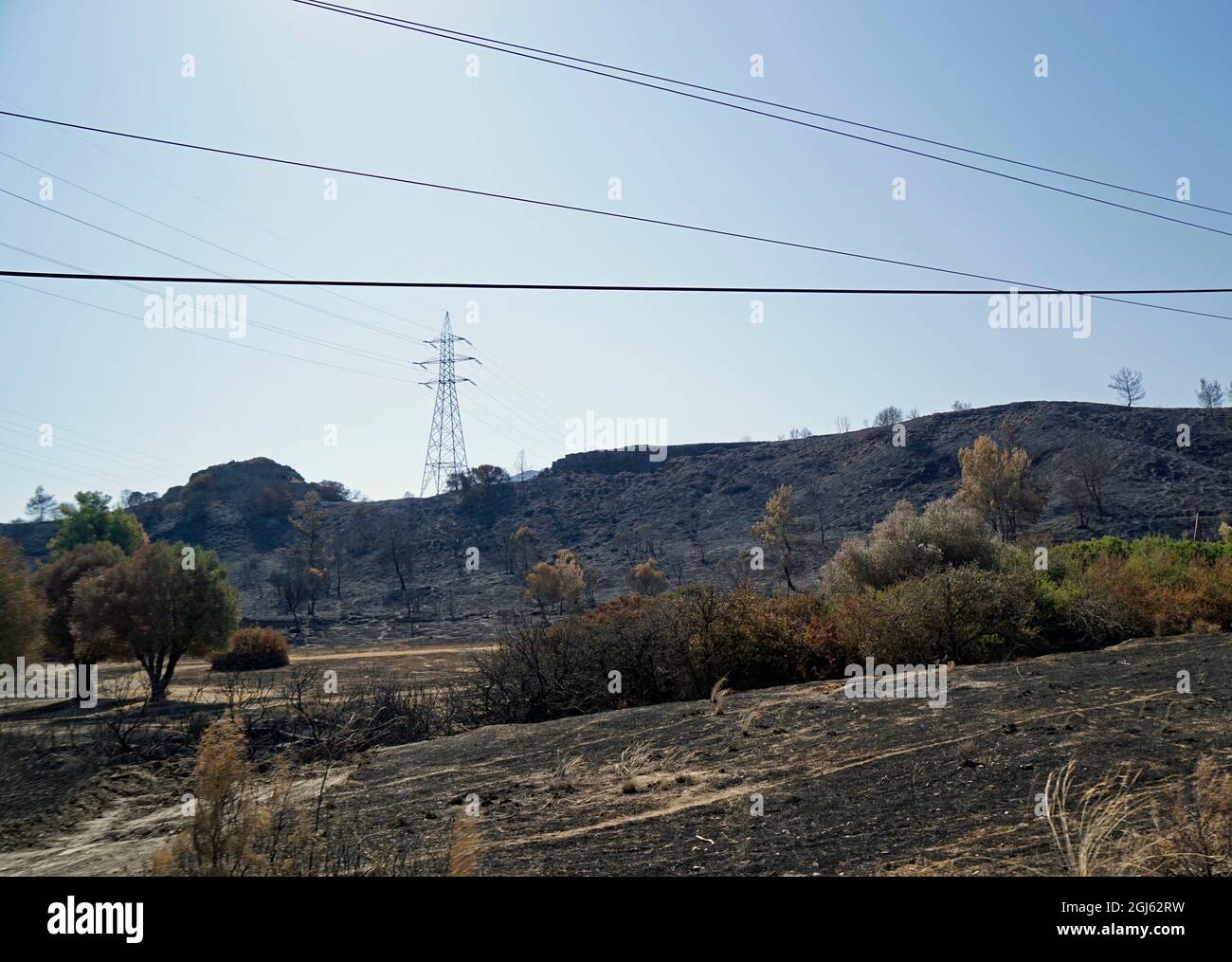 scorched landscape on rhodes island in greece after forest fire Stock ...