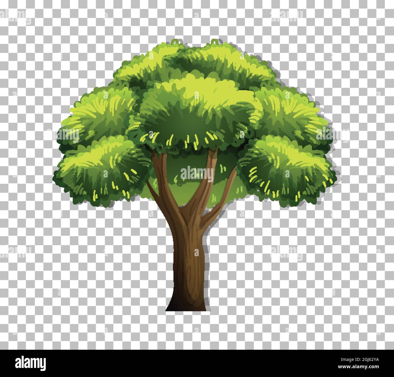 A tree isolated on transparent background illustration Stock Vector ...