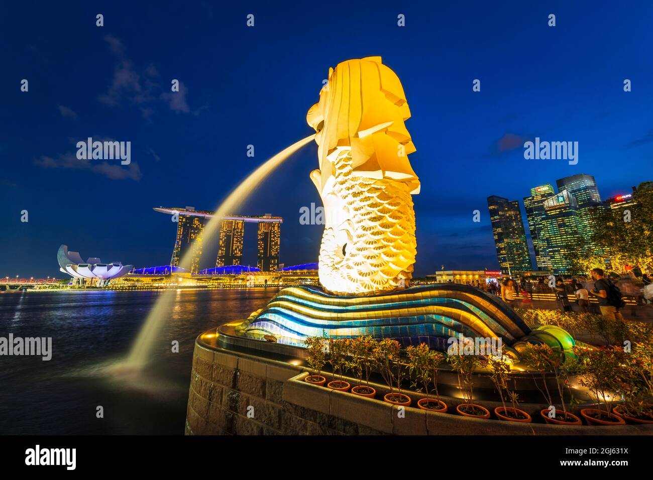 Merlion fountain and Marina Bay Sands at night, Singapore Stock Photo ...